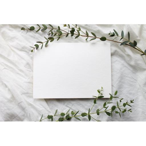 Types of Paper & Their Uses | Mankey Monkey